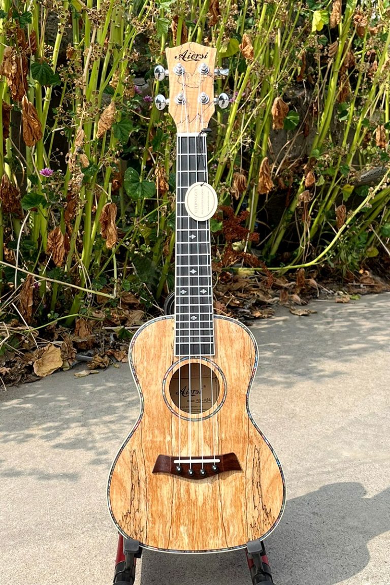 Curly Spalted Maple 24 Inch Concert Ukulele – Aiersi Ukulele