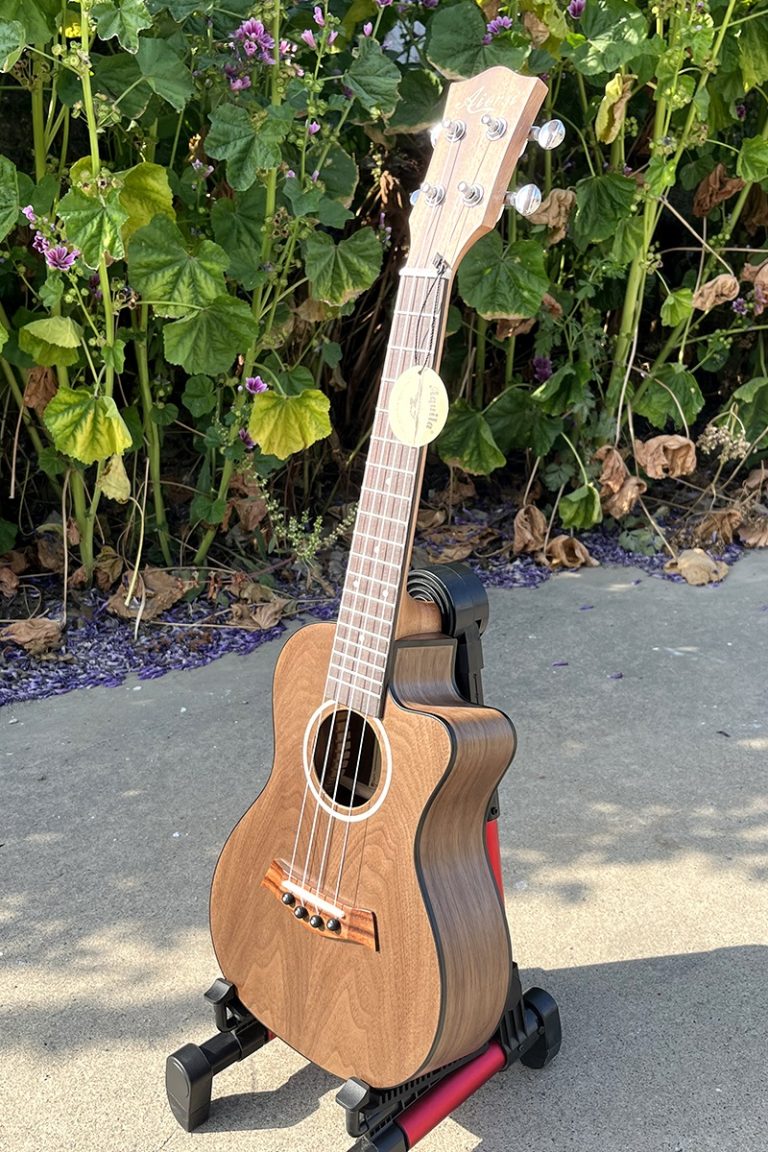 24 Inch Cutaway Black Walnut Concert Ukulele – Aiersi Ukulele