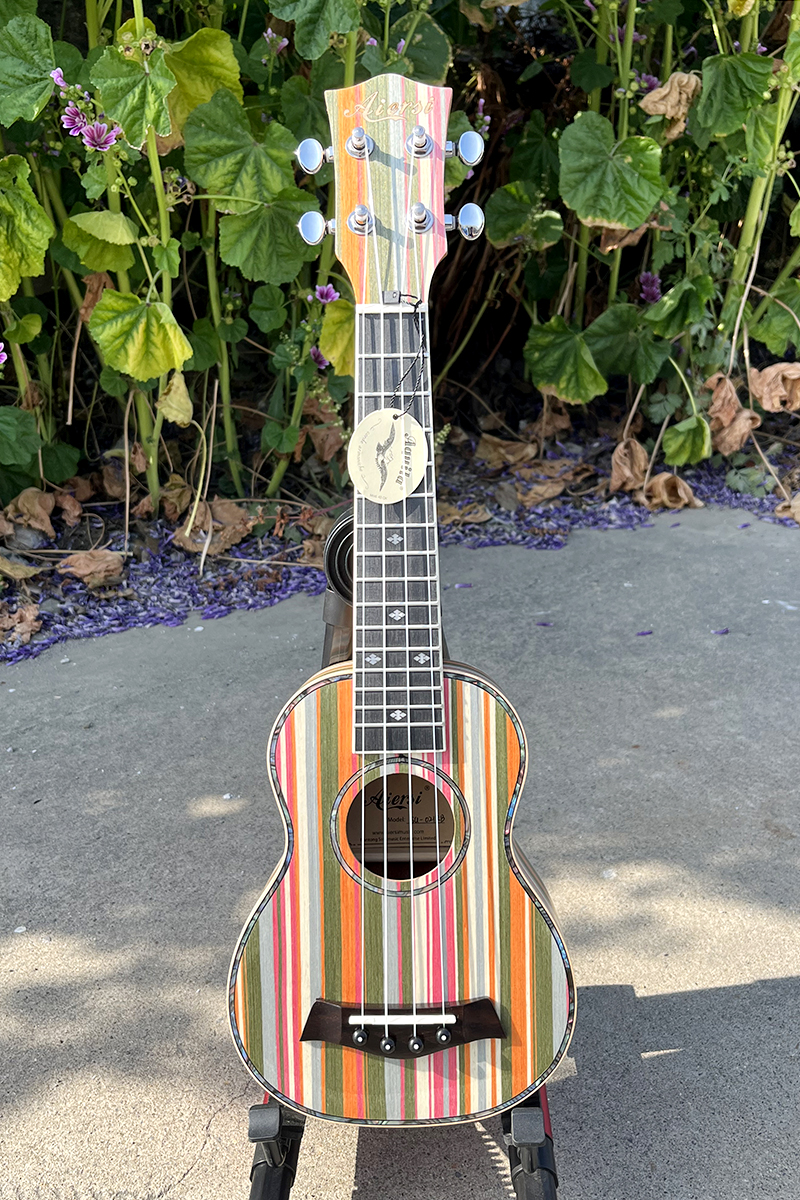 Soprano Rainbow Wood Ukulele – Aiersi Ukulele